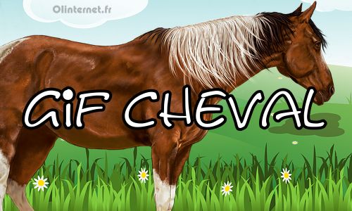 GIF cheval de competition Gifs chevaux